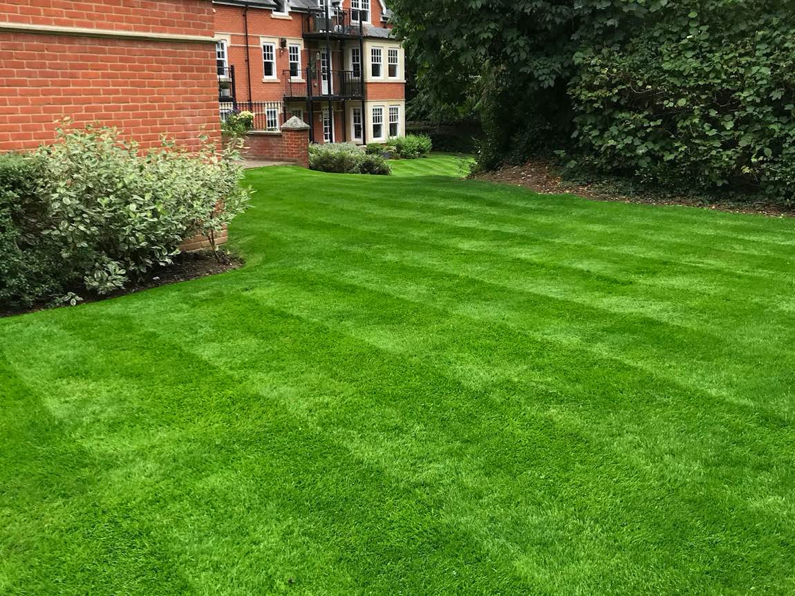 Best Rated Lawn Care Service in Swindon : Johnson Lawn Care Ltd