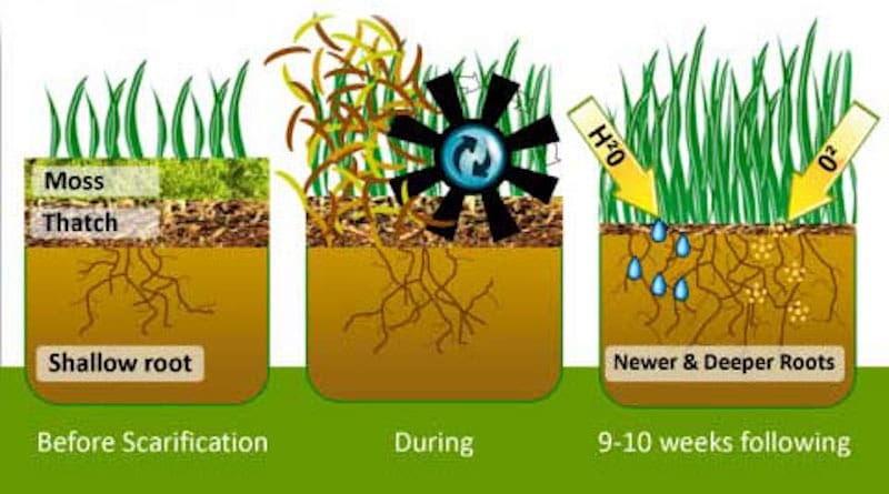 Best-Rated Lawn Scarifying Johnson Lawn Care Ltd